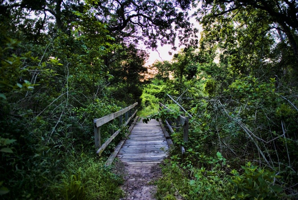 LAKE SOMERVILLE | 24inTX